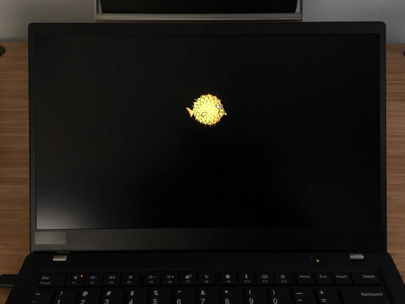 OpenBSD on the Lenovo ThinkPad X1 Carbon (5th Gen) - joshua stein